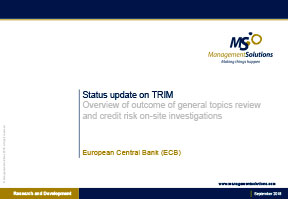 Status update on TRIM – General topics and credit risk review ...